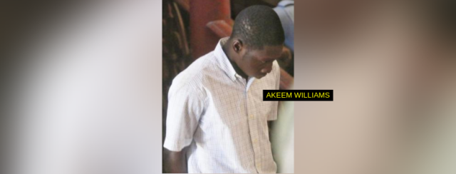 Rasville teen accused of robbing woman freed | Guyana Standard