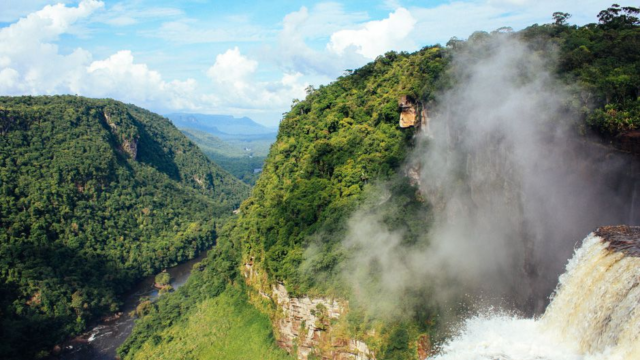 Guyana’s forest preservation odyssey and its efforts for climate change ...